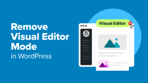 How to Remove Visual Editor Mode in WordPress (The Easy Way)