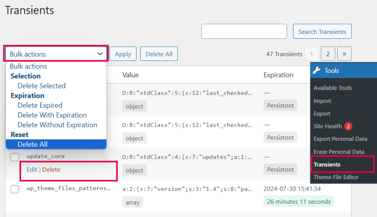 The Hidden Secret Options Panel Within Your WordPress Admin Panel