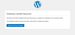 Beginner's Guide: How to Safely Update WordPress (Infographic)