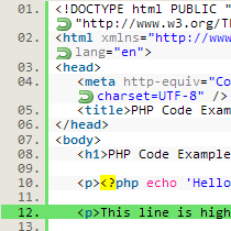 Why We Use SyntaxHighlighter Evolved