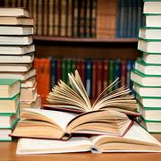 How to Build a Library Collection and Circulation System in WordPress