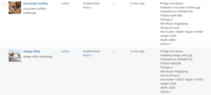 How to Add EXIF Photo Tags in WordPress (2 Easy Ways)