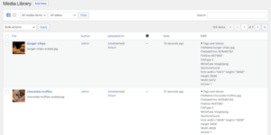 How to Add EXIF Photo Tags in WordPress (2 Easy Ways)
