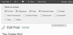 What is Screen Options in WordPress