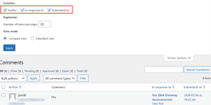 What is Screen Options in WordPress