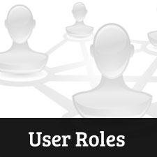 How to Add or Remove Capabilities to User Roles in WordPress