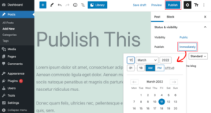 What is a Draft in WordPress?