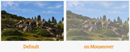 How to Fade Images on Mouseover in WordPress