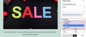 How to Free Disk Space and Reduce Inode Usage in WordPress