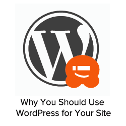 6 Important Reasons Why You Should Use WordPress for Your Website