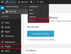 Why Do You Not See All Plugins on WordPress Multisite Installs