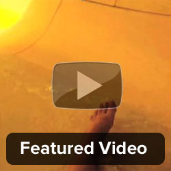 How to Add Featured Video Thumbnails in WordPress