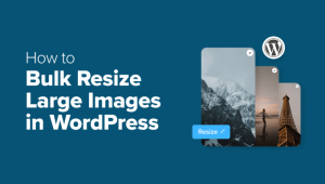 How to Bulk Resize Large Images in WordPress (Step by Step)