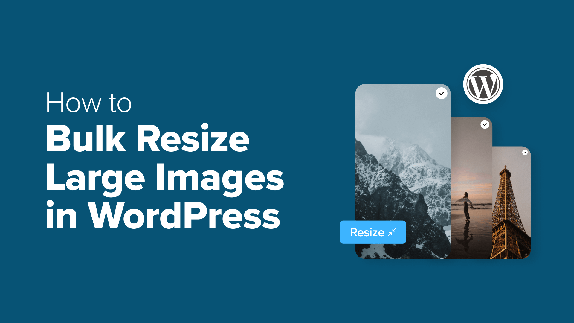 How to Bulk Resize Large Images in WordPress (Step by Step)