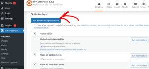 WordPress Database Maintenance: How to Optimize Your Database