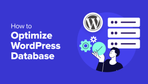 WordPress Database Maintenance: How to Optimize Your Database
