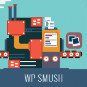 Optimizing Images with WP Smush (Pro, Cons, and Alternatives)