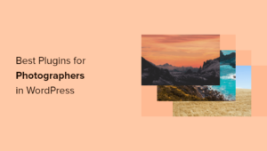 17 Best WordPress Plugins for Photographers for 2025