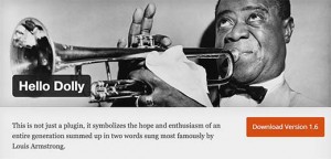 What is the Hello Dolly WordPress Plugin? Should You Delete it?