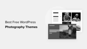 44 Best Free WordPress Photography Themes (2025)