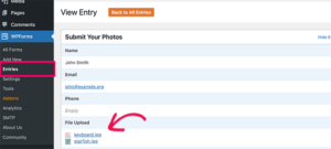 Where Does WordPress Store Images on Your Site? (Explained)