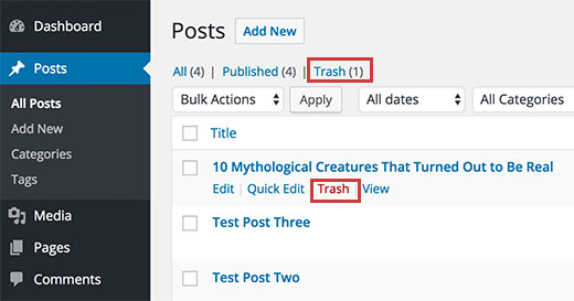 How to Automatically Empty Your WordPress Trash