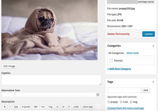 How to Add Categories and Tags to WordPress Media Library