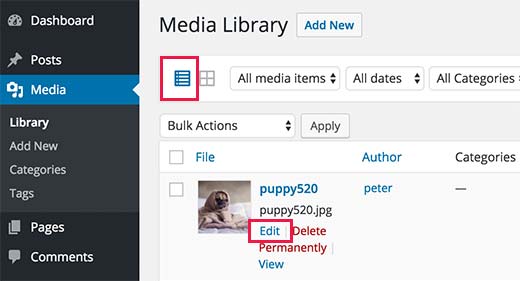 How to Add Categories and Tags to WordPress Media Library