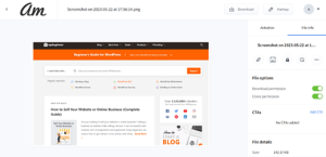 How to Create Automated Website Screenshots in WordPress