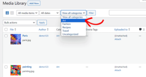 How to Add Categories and Tags to WordPress Media Library