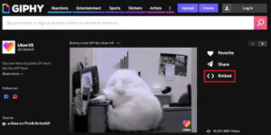 How to Add GIFs from Giphy in WordPress (2 Easy Methods)