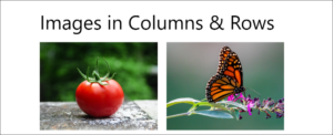 How to Display WordPress Photos in Columns and Rows