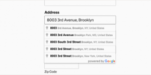 How to Add Autocomplete for Address Fields in WordPress