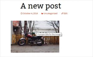 How to Add Title Attribute in WordPress Navigation Menus