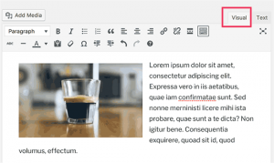 How to Remove Visual Editor Mode in WordPress