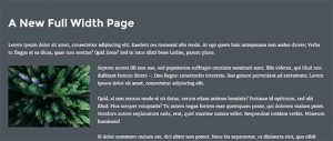 How to Create a Full Width Page in WordPress (Beginner's Guide)