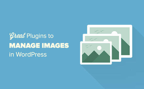 22 Great WordPress Plugins for Managing Images (Updated)