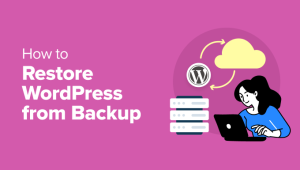 Beginner's Guide: How to Restore WordPress from Backup