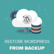 Beginner's Guide: How to Restore WordPress from Backup