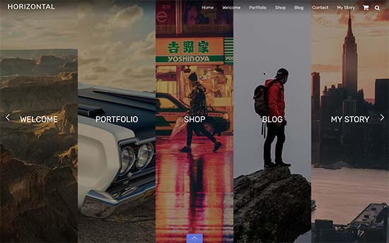 29 Best WordPress Themes for Artists (2021)