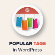 How to Display Most Popular Tags in WordPress