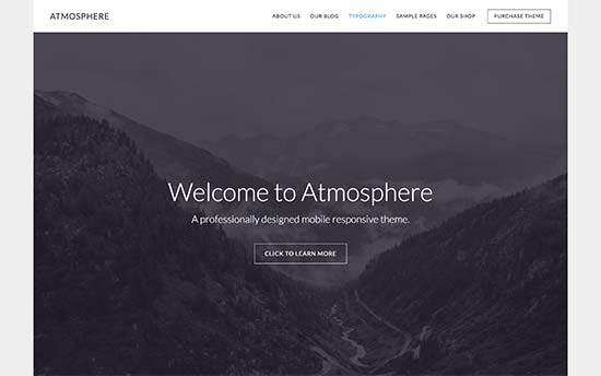 23 Best WordPress Themes for Financial Sites (2023)