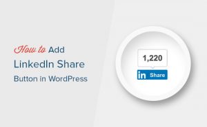 How to Add Official LinkedIn Share Button in WordPress