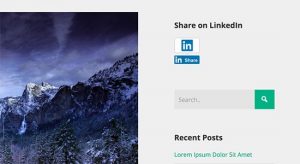 How to Add Official LinkedIn Share Button in WordPress