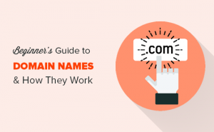 Beginner's Guide: What is a Domain Name and How Do Domains Work?