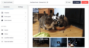 How to Create a Video Gallery in WordPress (Step by Step)