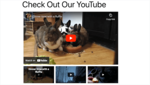 How to Create a Video Gallery in WordPress (Step by Step)