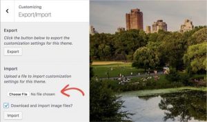How to Import / Export WordPress Theme Customizer Settings