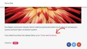 How to Create a WordPress Plugin (Step by Step for Beginners)