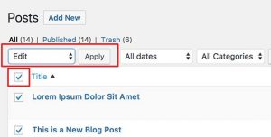 How to Remove Author Name from WordPress Posts (3 Easy Ways)